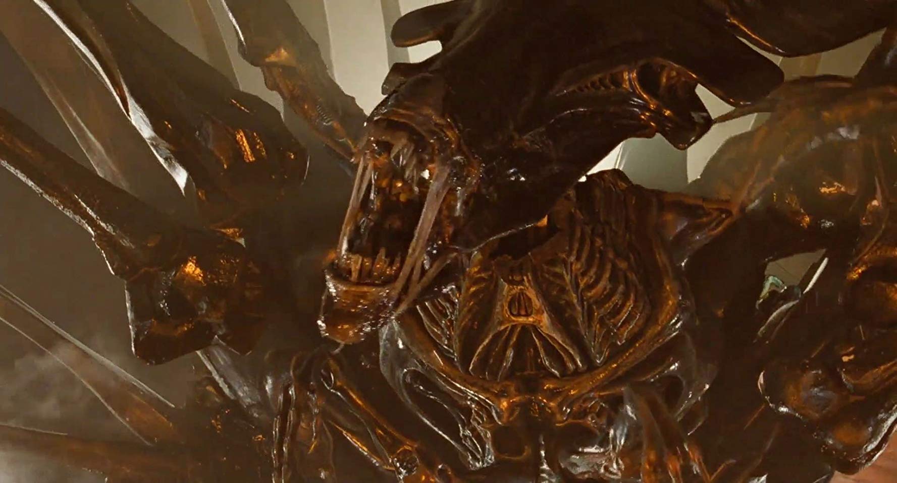 The Aliens Queen Mother: The Perfect Creature to End Our World