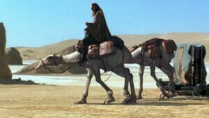 24 Star Wars Creatures That Spread All Across The Galaxy