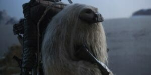 24 Star Wars Creatures That Spread All Across The Galaxy