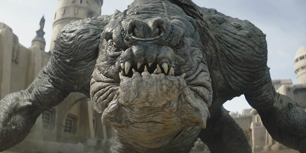 24 Star Wars Creatures That Spread All Across The Galaxy